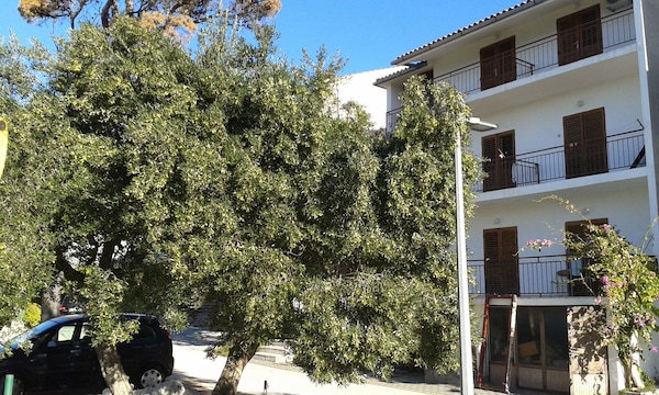 Studio Flat With Terrace And Sea View Brela, Makarska (As-20007-a) - Brela
