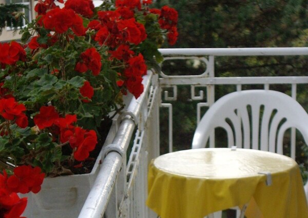 Double Room "Morning Room" With Shower On The Floor And Balcony - Badenweiler