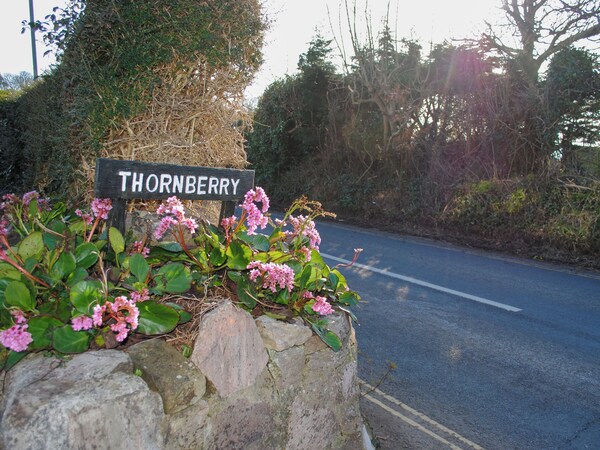 Thornberry, Family Friendly, With A Garden In Salcombe - Salcombe