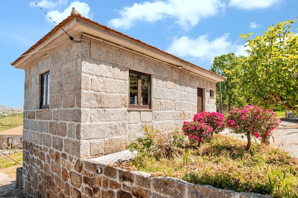 Homerez - Maison à Fornos Avec Piscine - Castelo de Paiva