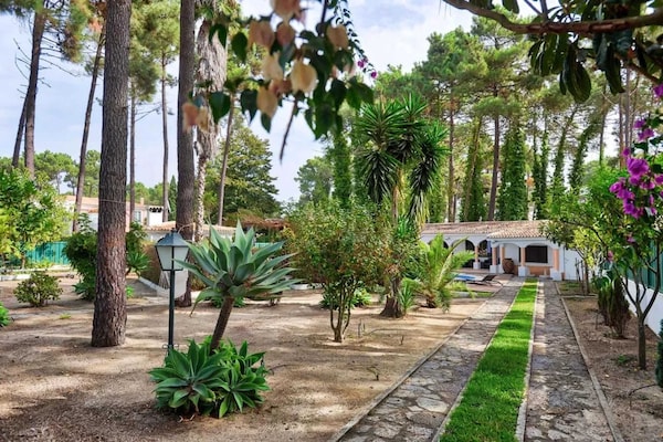 Homerez - Elegante Villa In Corroios Mit Privatem Pool - Costa da Caparica