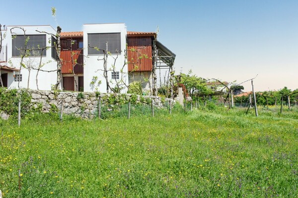 Homerez - Maison Charmante à Vieira Do Minho Avec Piscine - Vieira do Minho