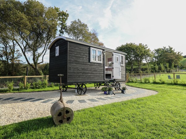 Dragonfly Shepherd's Hut, Pet Friendly, With A Garden In Aberaeron - Aberaeron