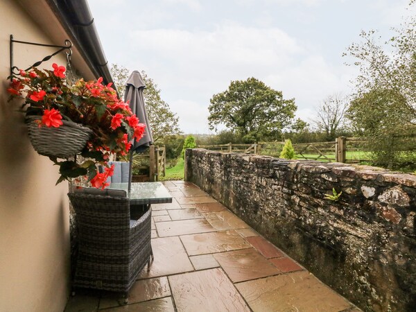 Cosy Cottage, Pet Friendly, Character Holiday Cottage In Lifton - Devon