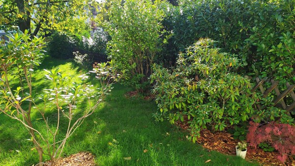 Haus Im Garten In Der Nähe Von Köln-messe - Bergisch Gladbach