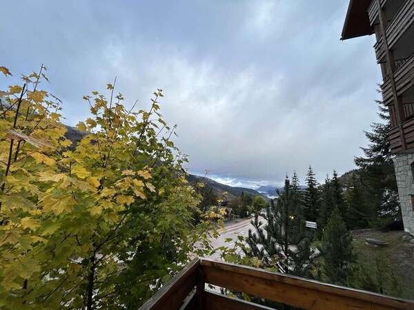 100m From Resort Center, Ground Floor, Swimming Pool, Terrace, Tv, Ski Locker, 25m², Méribel - Méribel