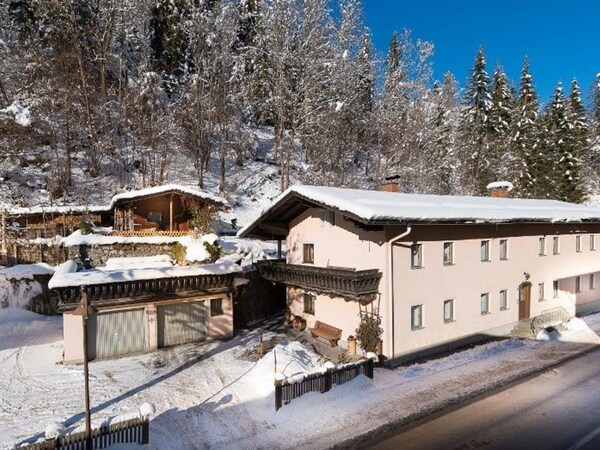 Apartment/1 Schlafraum/dusche, Wc - "Torsäule" - Haus Gamsjäger - Mühlbach am Hochkönig
