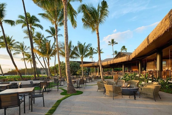 Explore Hawaii's Most Hawaiian Hotel, 3 Luxurious Units, With Top Amenities - Kaanapali, HI