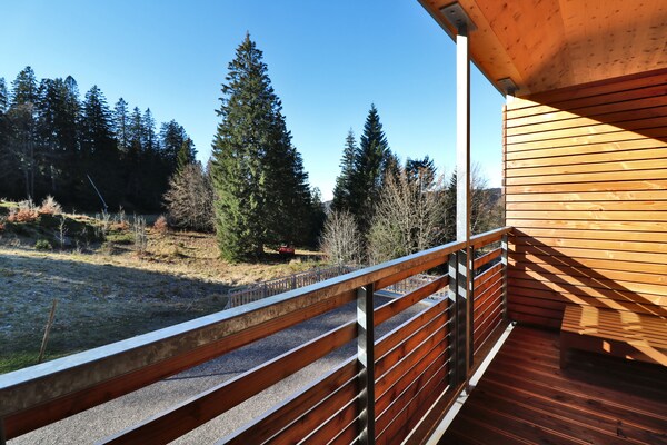 Vacation Apartment/apartment For 7 Guests With 93m² In Feldberg (Black Forest) (245375) - Feldberg