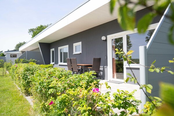 Urlaub Am Borner Holm - Ahrenshoop