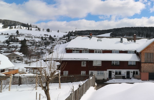 Ferienwohnung/app. Für 5 Gäste Mit 60m² In Todtnau- Todtnauberg (245630) - Todtnauberg