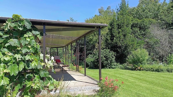 Classic 1960s Home Amongst Native Trees - Manakau