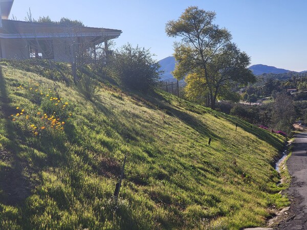 No Active Property - Mira Mesa - San Diego