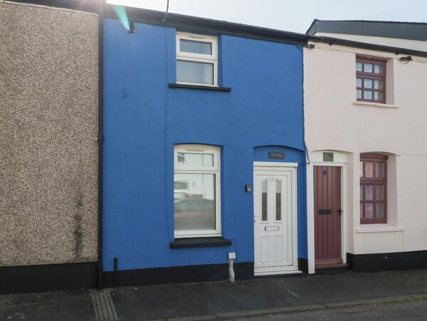 Rhif Deg, Pet Friendly, With Open Fire In Brecon - Brecon