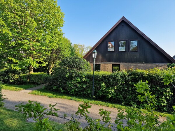 Ferienwohnung/app. Für 2 Gäste Mit 38m² In Spiekeroog - Spiekeroog