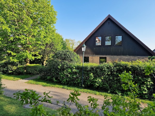 Ferienwohnung/app. Für 2 Gäste Mit 38m² In Spiekeroog - Spiekeroog