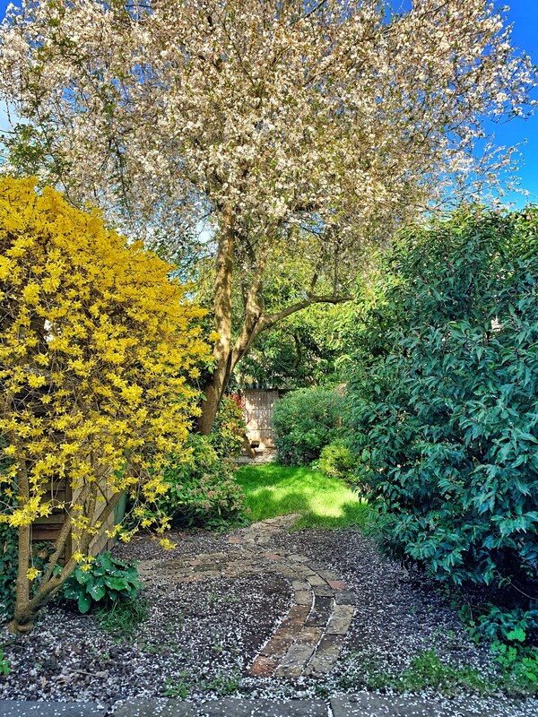 Charming And Spacious Period Cottage In Central Cambridge - Cambridge