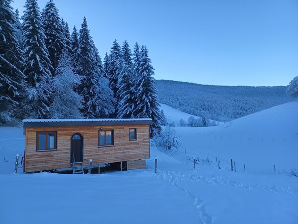 Tiny House In Méaudre In The Heart Of Nature (Vercors Plateau) - Autrans