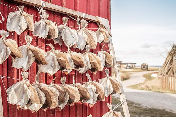 7 Personas Casa En Hvide Sande-by Traum - Hvide Sande