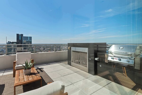 West Loop Ph: Fireplace Deck, Incredible Views - Oak Park