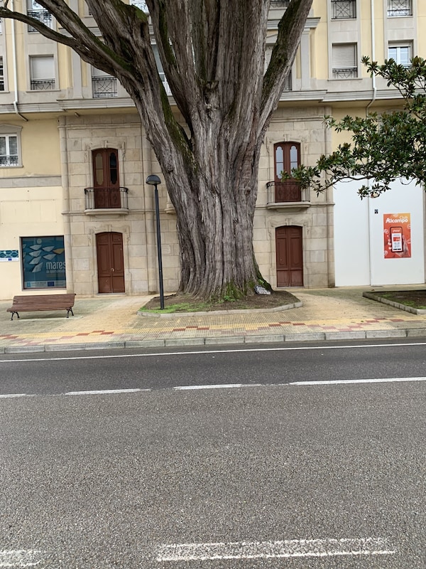 Indiano's Mansion. Apartment In Tourist Area 10 Minutes From The Beach. - Viveiro