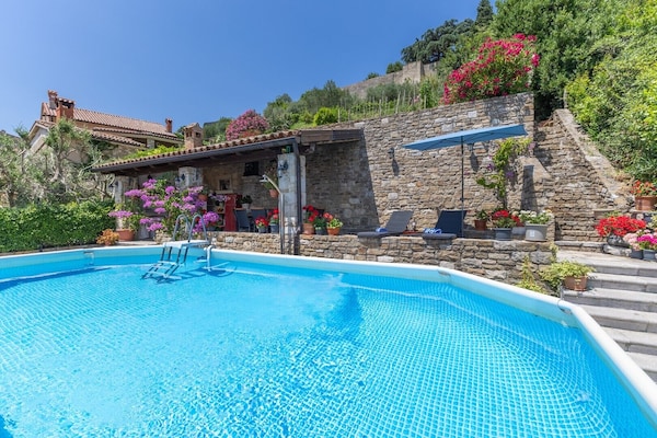 Villa Pietro Montona - Motovun
