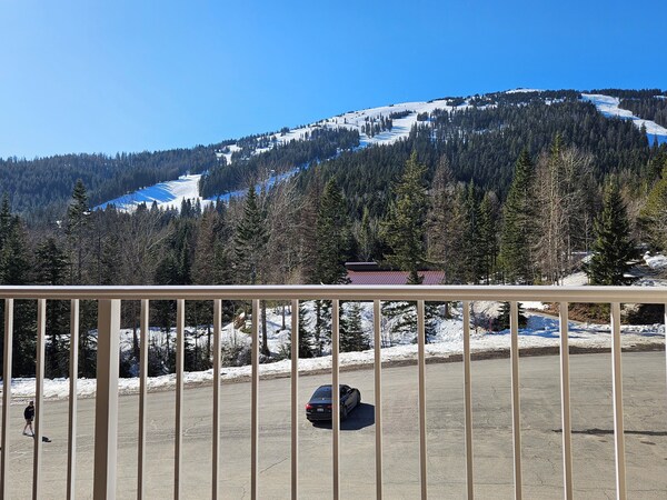 Cozy Mount Spokane Condo W/ Wi-fi, Access To Hot Tub, Pool And Sauna - Mount Spokane State Park, Mead