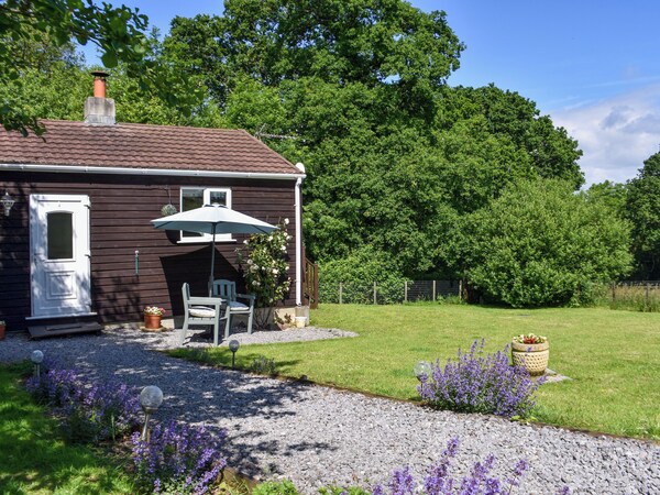 Hazelnut Lodge, Pet Friendly, With Open Fire In Crediton - Crediton