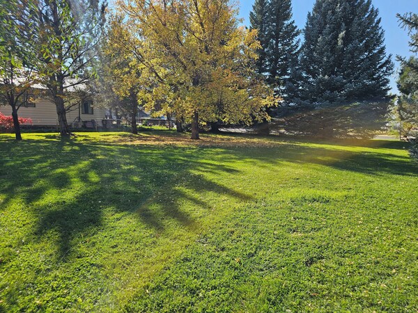 Delightful 2-bedroom House.  Convenient Location In Cody. - Cody