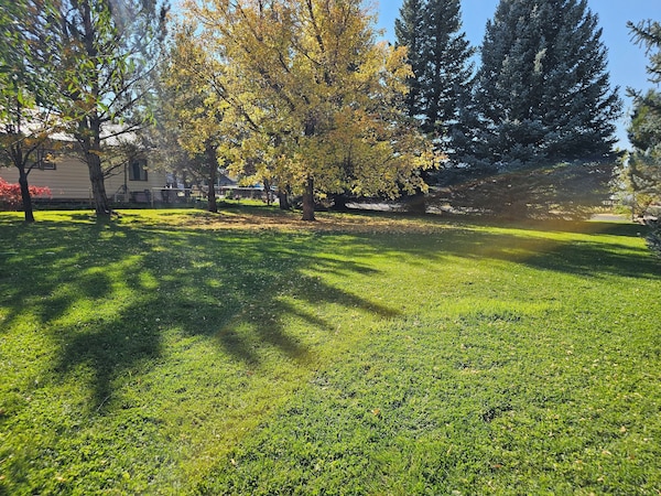 Delightful 2-bedroom House. Convenient Location In Cody. - Cody