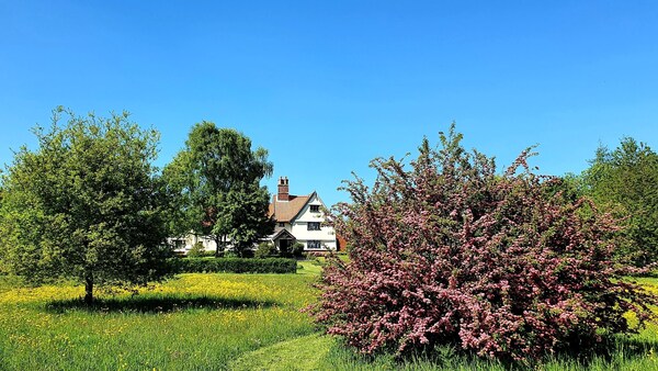 The Nook, Pet Friendly, Character Holiday Cottage In Halesworth - Suffolk