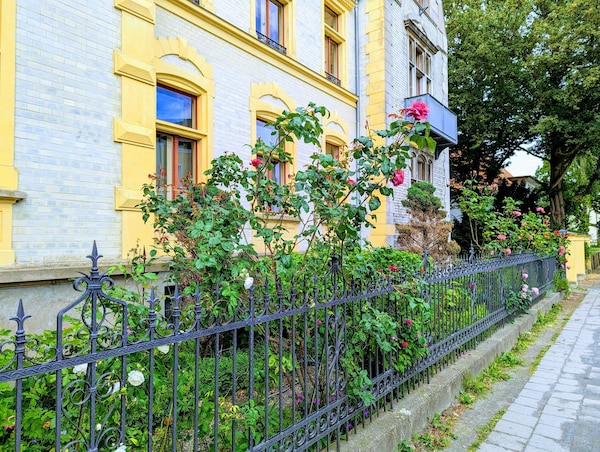 Studio - Villa Eisenrose - Stralsund