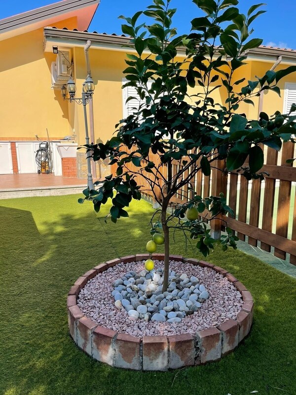 Ferienwohnung/app. Für 6 Gäste Mit 150m² In Marina Di Camerota - Marina di Camerota