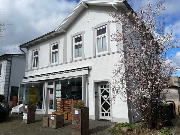 Studio Apartment 200 Meter Vom Sandstrand - Dahme
