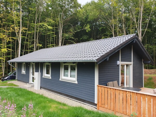 Waldquartier No 12  Twistesee - Ferienhaus - Bad Arolsen