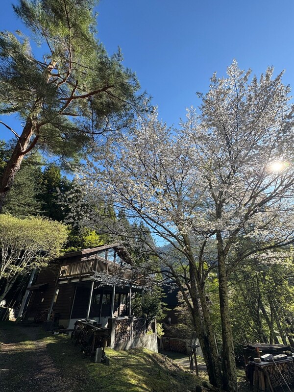 162㎡cabin/3min Walk Lake Saiko/remote Work/bbq/5min Drive Kawaguchi Lake/mt.fuji - Japan