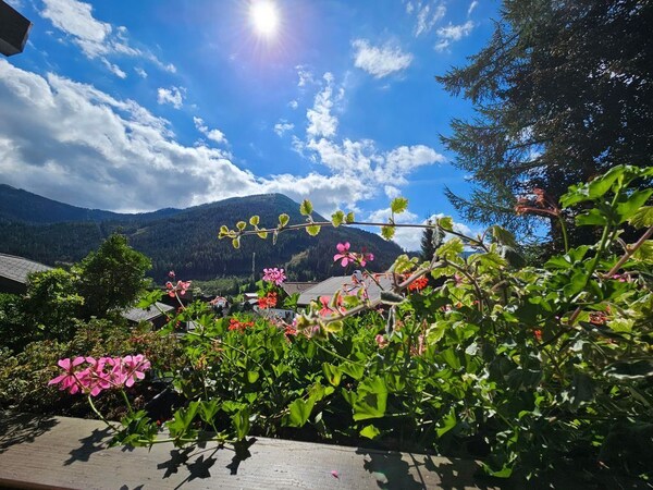 Apartment, 1 Bedroom + 1 Living Room - Alpenlandhof - Bad Kleinkirchheim