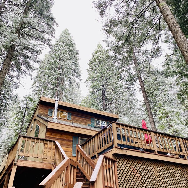 Lilac Cabin Family-friendly With Highspeed Wi-fi Close To Downtown Arnold - Arnold, CA