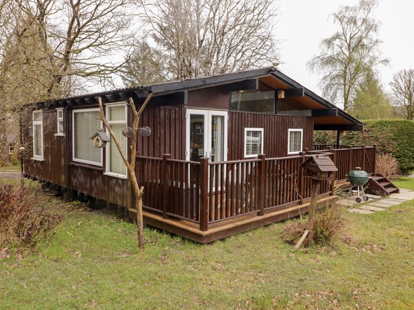 The Bird House, Pet Friendly, With Pool In Cenarth - Pembrokeshire