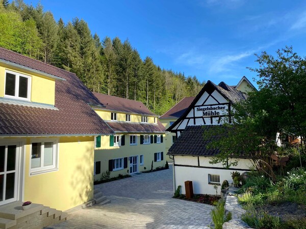 Erle - Siegelsbacher Mühle - Mosbach