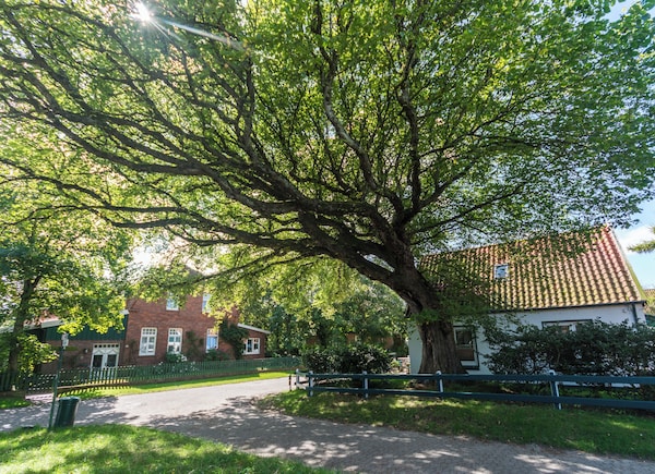 Beautiful Small Apartment In The East Of The Village With South-facing Terrace! - Spiekeroog
