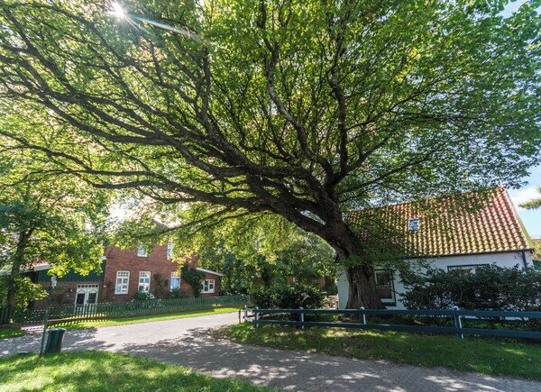 Beautiful Small Apartment In The East Of The Village With South-facing Terrace! - Spiekeroog