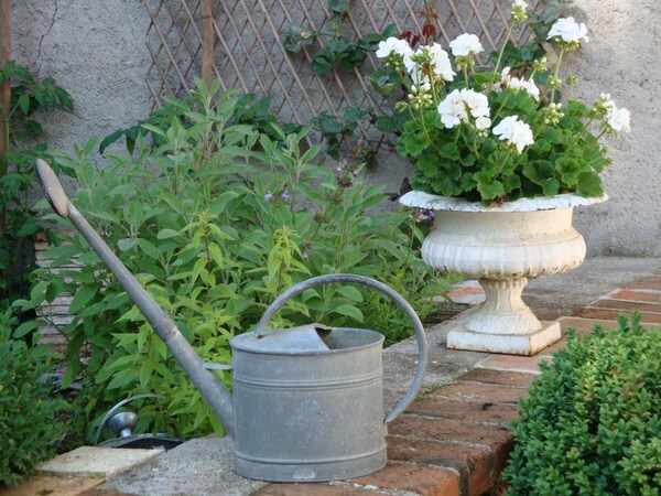 Charming Central Blois Cottage: Terrace, Private Garage, Modern Amenities Included - Blois