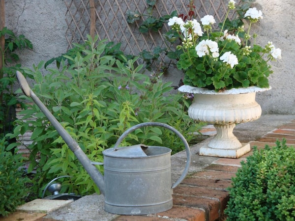 Charming Central Blois Cottage: Terrace, Private Garage, Modern Amenities Included - Blois