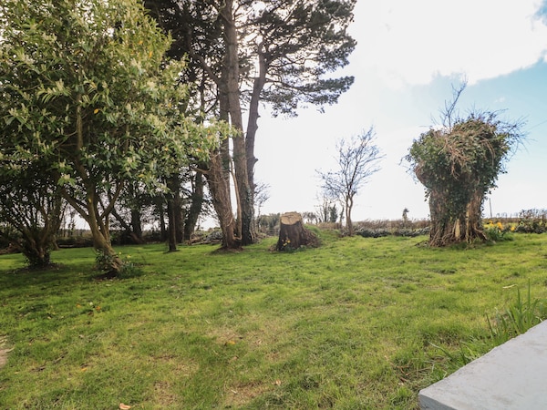 Curragh Cottage, Pet Friendly In New Ross, County Wexford - Ierland