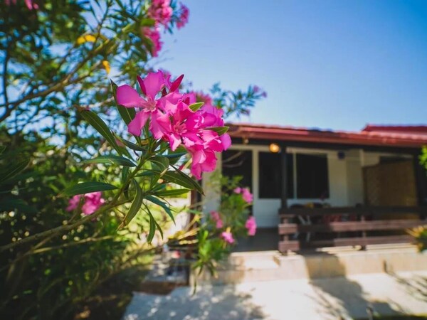 Holiday Apartment Vrsi For 1 - 6 Persons With 2 Bedrooms - Twin House - Nin