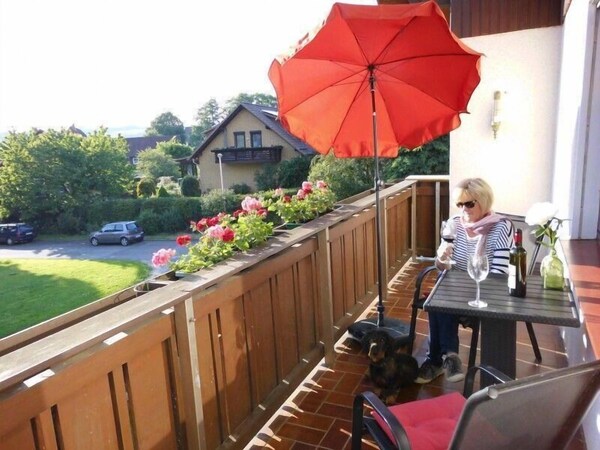 Ferienwohnung Das Schwalbennest - Seesen