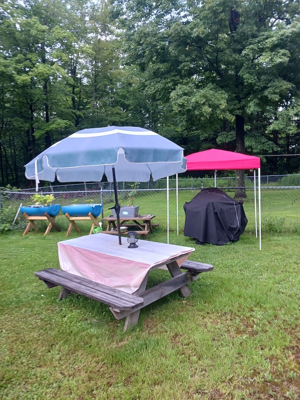 Comfortable Camper A Few Miles Off Thruway And Area Attractions. Fire Ring Wood - Lake Erie, PA