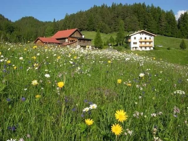 Fewo Bergkastel 4-5 - Bauernhof Tiefhof - Nauders