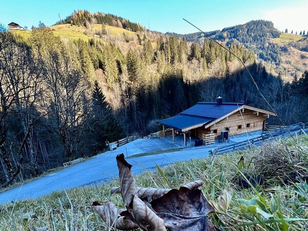 Riedlfeld-hütte - Ferienhaus - Goldegg